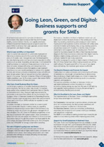 Going Lean, Green, and Digital: Business supports and grants for SMEs ...
